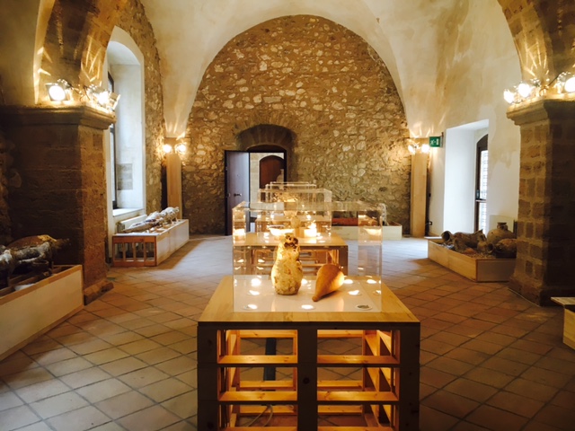 MUSEO DEL MARE 1 (1) - Risoluto