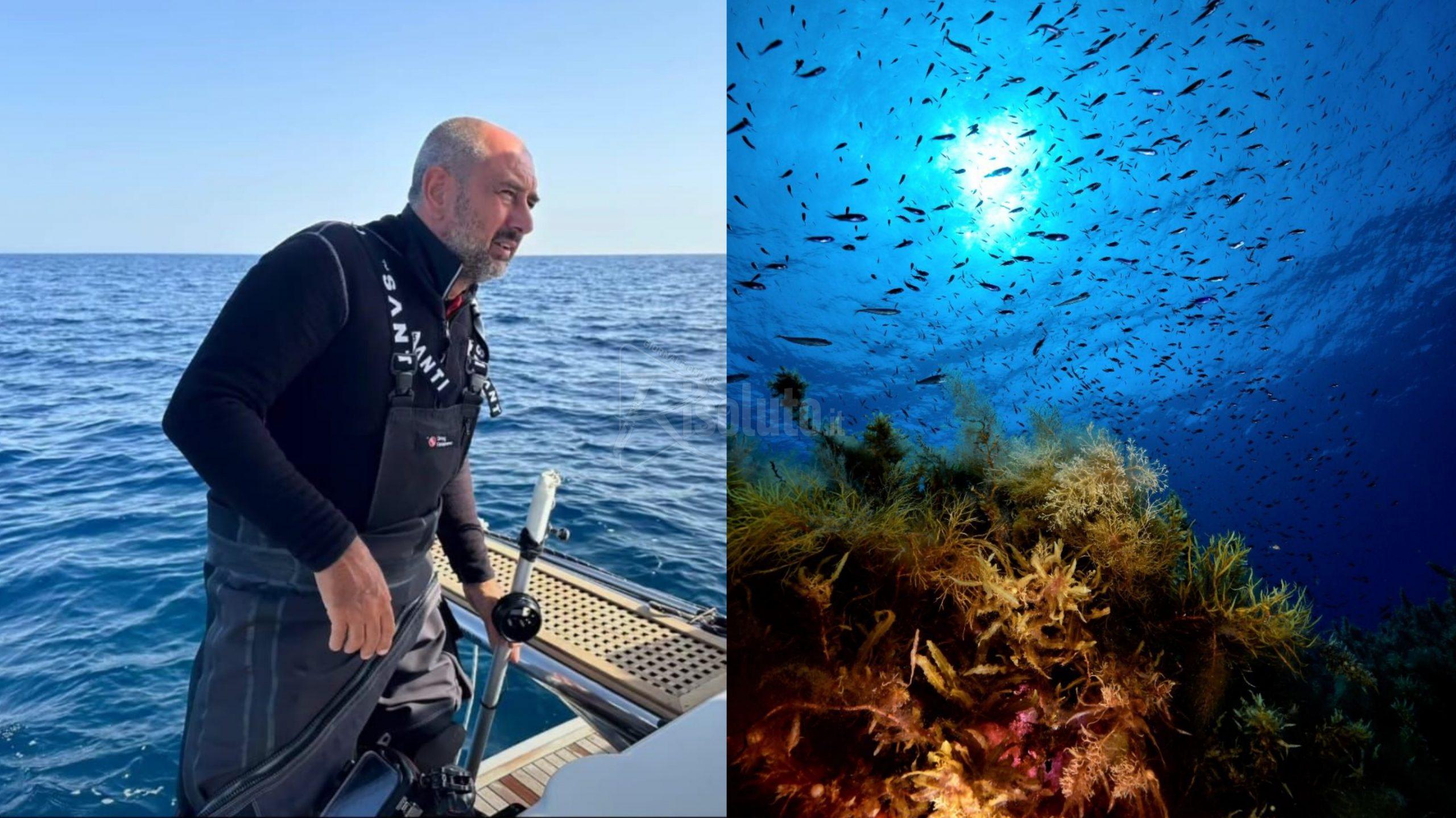 Alla Scoperta dell'Isola Ferdinandea con Marevivo, un viaggio subacqueo ...